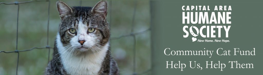 Community Cat Program - Capital Area Humane Society