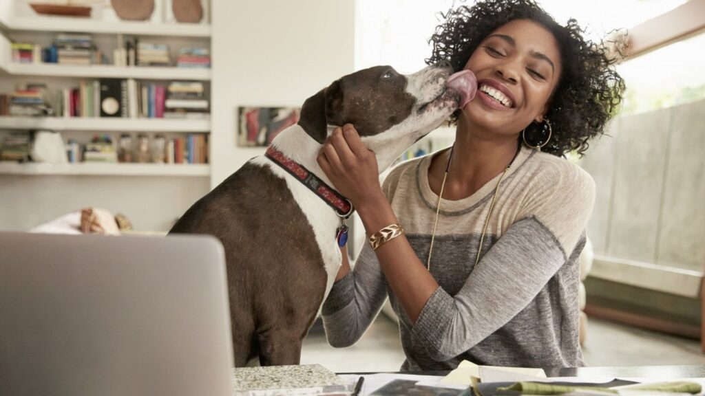 Foster - Capital Area Humane Society